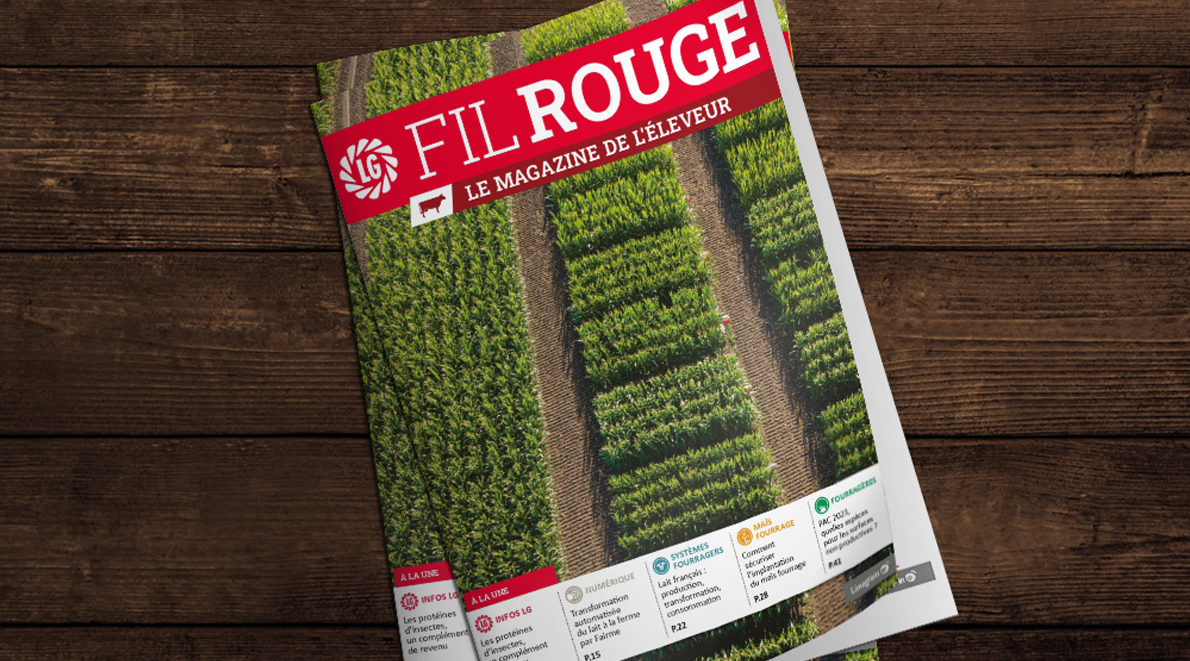 Sorgho fourrager multicoupe, comment bien l’exploiter