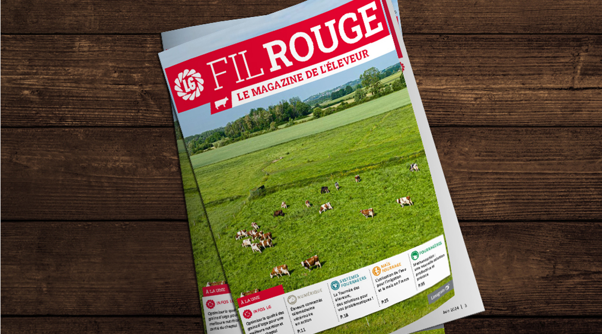 Le ray-grass italien, bien le connaître pour bien le valoriser