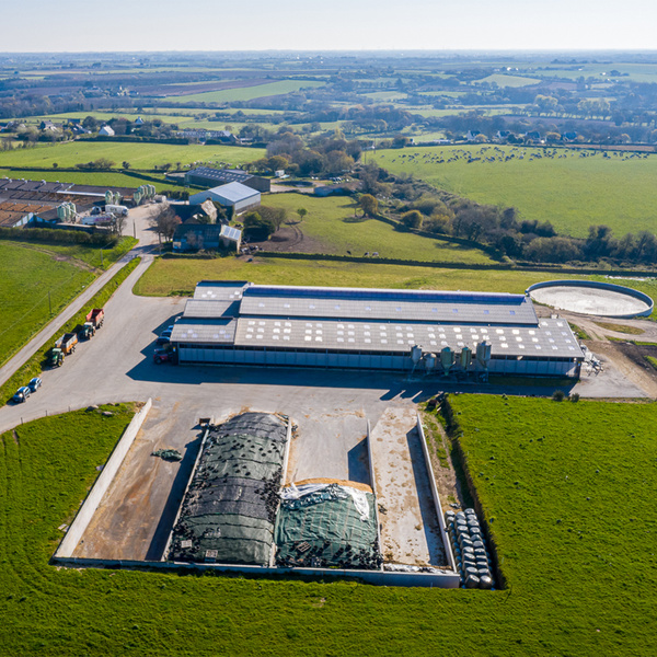 Valorisation de l'azote par les maïs fourrage HDi®