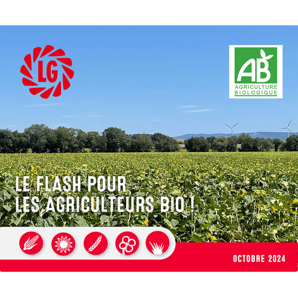 Le Flash Bio n°6