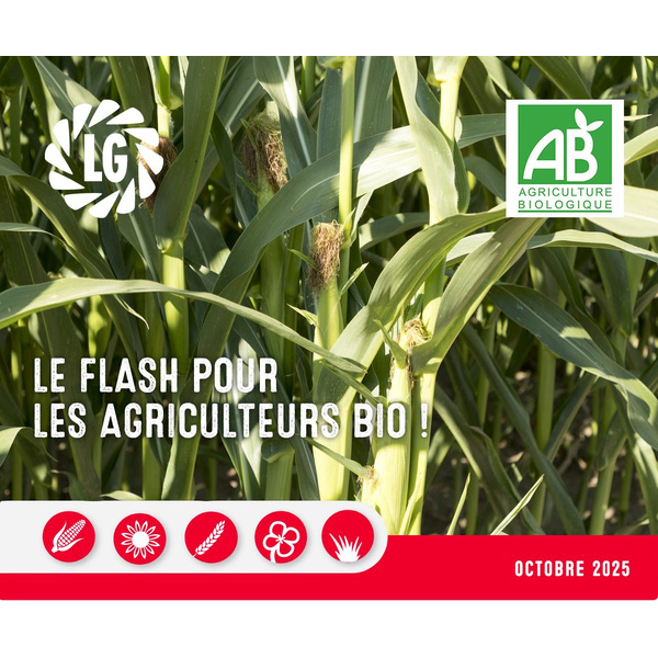 Le Flash Bio n°9