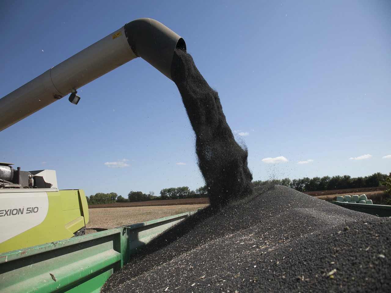 Semences LG seeds Limagrain, Un expert semencier à vos côtés : LG